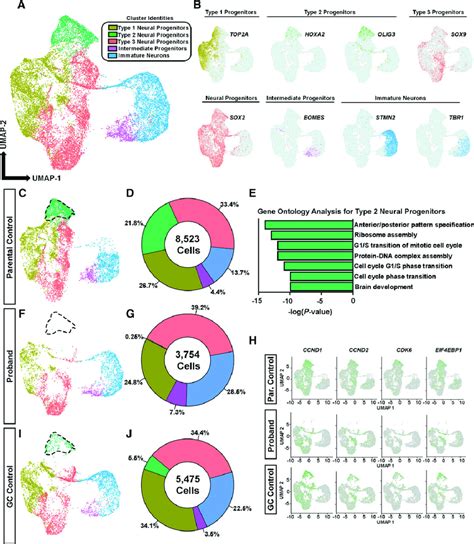 Single Cell RNA Sequencing Reveals An Under Represented Population Of Download Scientific