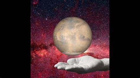 Nicko Shuo Wild Action Youtube