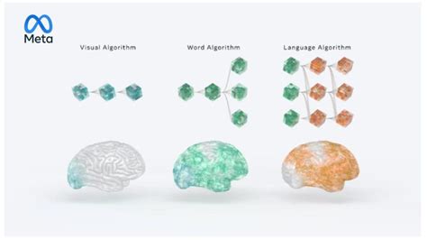 Meta AI Is Building AI That Processes Language Like The Human Brain