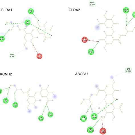 Binding Interactions Interactions Between Alginate And Target