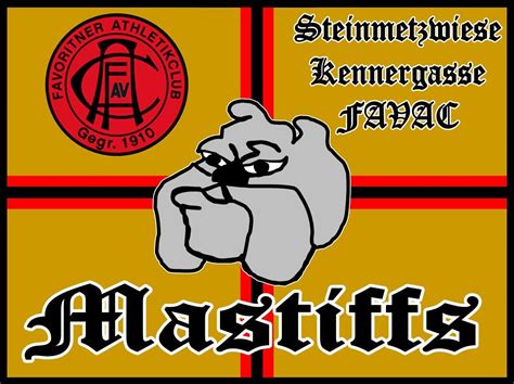 Mastiffs Favac Einstand
