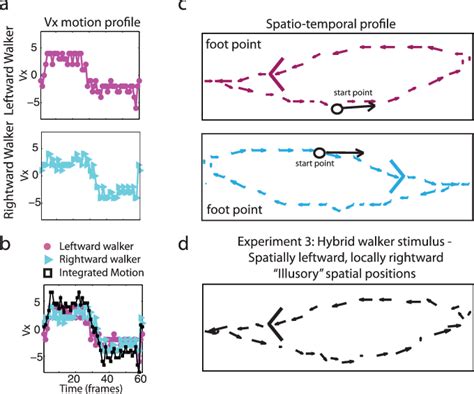 Analysis Of Integrated Motion And Illusory Spatial Positions For Download Scientific Diagram