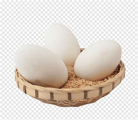 Egg Object Detection Dataset By Chickenduckegg