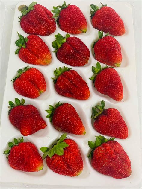 ផ្សារធម្មជាតិ24 ផ្សារធម្មជាតិ24 Added A New Photo