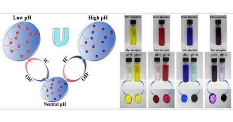 Bidirectionally Ph Responsive Zwitterionic Polymer Hydrogels With