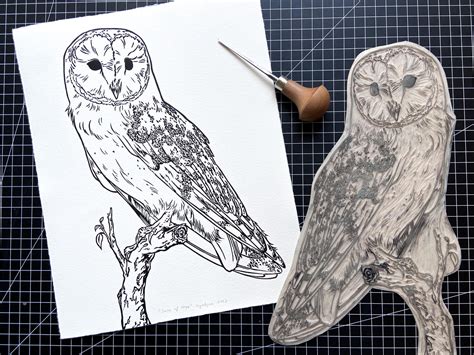 33 Best Rlinocut Images On Pholder Castle