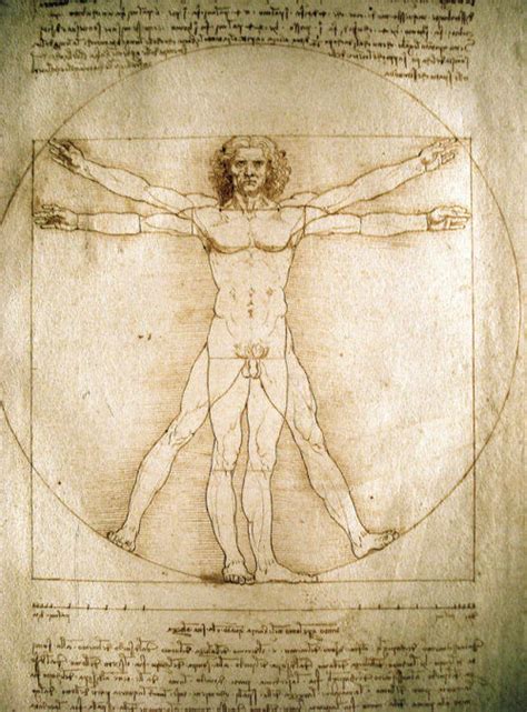 Vitruvian Man On Tumblr