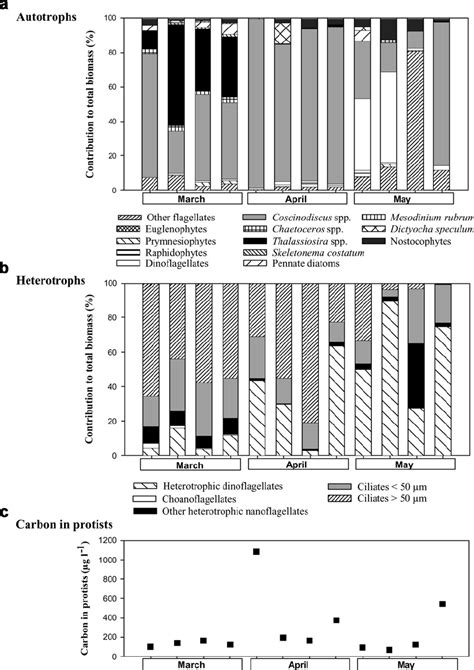 Percentage Of Total Carbon Biomass For A Autotrophic And B
