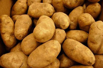 Potatoes Potatoes Photo 30050051 Fanpop