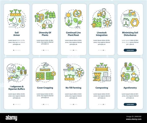 Regenerative Agriculture Onboarding Mobile App Screens Set Stock Vector