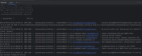Configuring Spring Boot Applications With Maven Profiles Geeksforgeeks