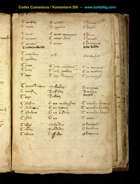 Codex Cumanicus