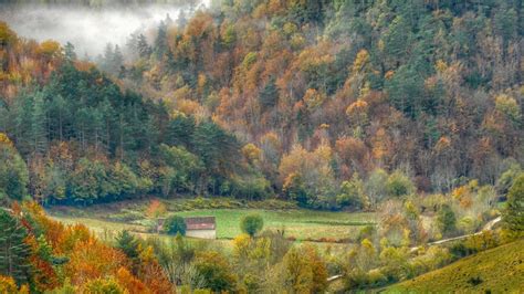 Irati en otoño hayas abetos y mucho más