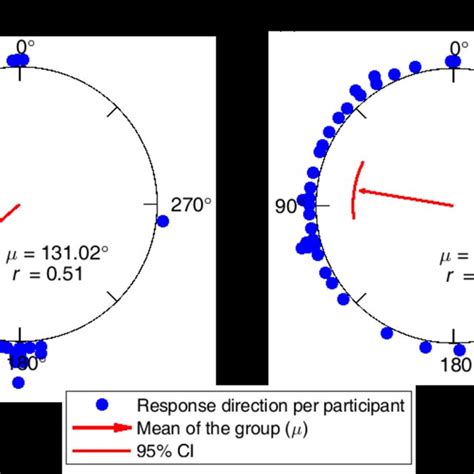 Response Heading Directions In The Relative Heading Judgment Task Of