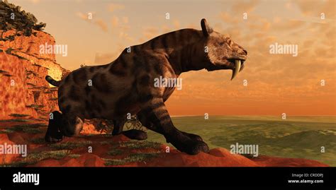 Prehistoric Predators Sabertooth