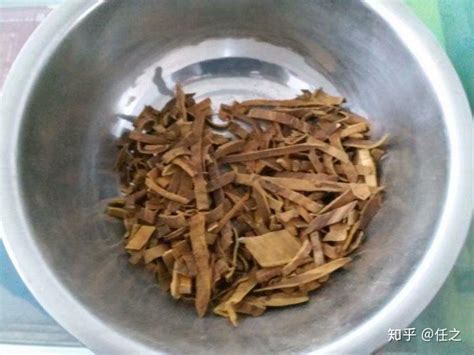 实践千古名方乌梅丸 知乎