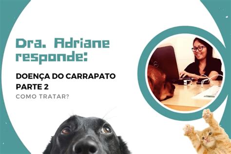Doença do carrapato parte 2 Centro Veterinário Pacaembu