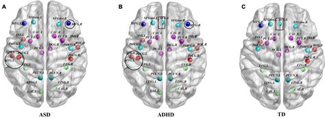 Frontiers Shared And Distinct Topologically Structural Connectivity