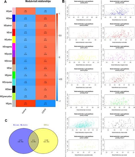 Figure 5 From Identification Of Hub Genes Associated With Copd Through