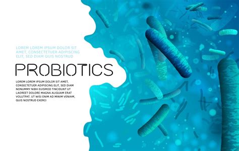 Probiotics Types Poster Royalty Free Vector Image
