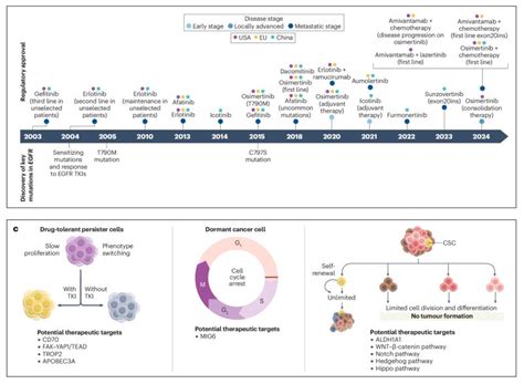 Nature Egfr Nsclc Exon20 Pacc Lungcancer Xiuning Le