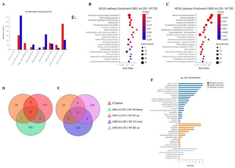 Transcriptomic Profiling Of Endometriosis Like Lesions From Cnr1 And
