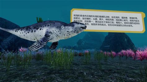 斑海豹腾讯视频