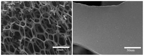 A Kind Of Multiple Interpenetrating Network Structure Nanocomposite