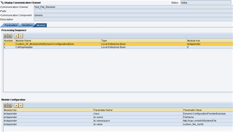 setting dynamic configuration attributes using cus sap community
