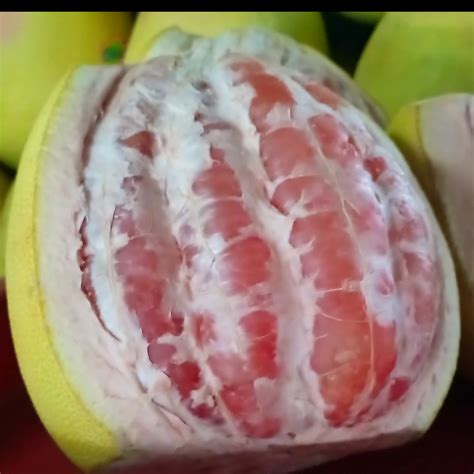 Fresh Sweet Davao Pomelo Suha Order Price Kilo Farm2metro