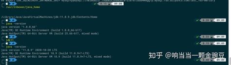 Zulu Jdk Mac默认安装位置mac系统多版本jdk安装 Csdn博客