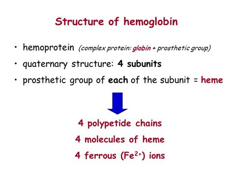 Molecule Makeup Of Hemoglobin