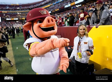 Washington Commanders Mascot Major Tuddy Walks On The Sideline Before