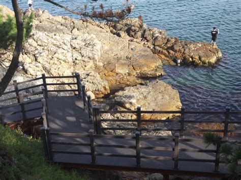 산업상업폐기물 건설건축폐기물 의료병원 전염 감염성폐기물 생활쓰레기 수산해산부산물 처리사업 폐합성수지 열분해 기름생산 고형연료srf 펠릿펠렛생산 바이오메스발전소허가