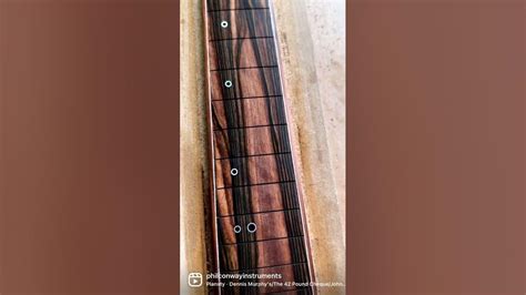 Mandola Fretboard Maritime Ebony With Monterillo Bindings And My