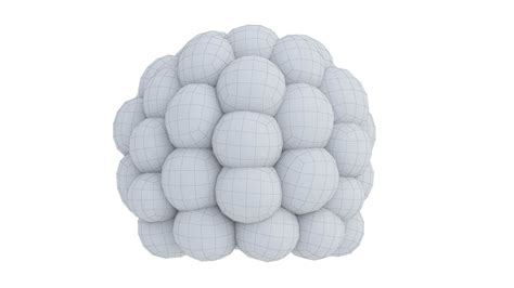 Raspberry 3d Model By Xandra Fox