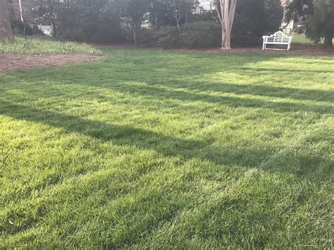 Lawn Care Program Distinct Lawns