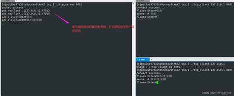 【linux网络（c 】——网络套接字（tcp udp编程模型）多进程，多线程，线程池服务器开发（画图解析） c 套接字 linux