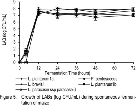 Figure 1 From Isolation And Identification Of Microorganisms During Spontaneous Fermentation Of