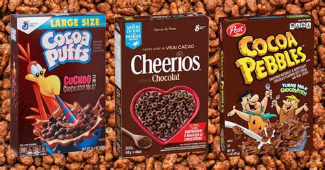 Top 12 Best Chocolate Cereal Brands According US Shoppers