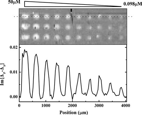 top image is the two dimensional scan image of im p s for unlabeled