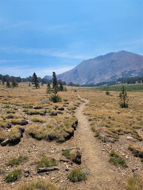 Mono Pass Naturalist Hike Firefall Ranch Tours