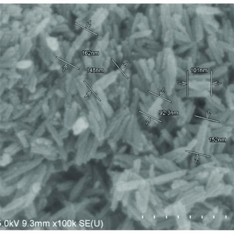 Sem Image Of Nano Fe 2 O 3 Download Scientific Diagram