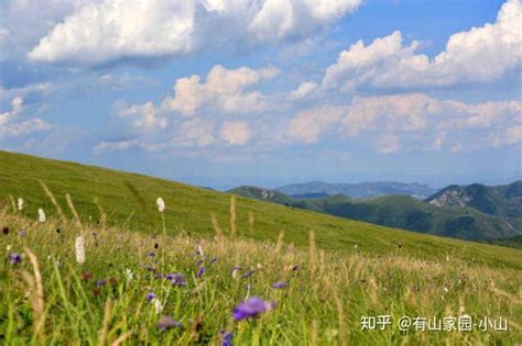 漫山的野花，翠绿的青草，白色的风车，还有成群的牛羊，这座草原长城真的太美了 知乎