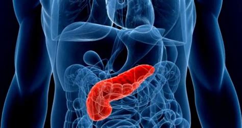 Нойр булчирхайн цочмог үрэвслийн үед ямар шинж тэмдэг илэрдэг вэ