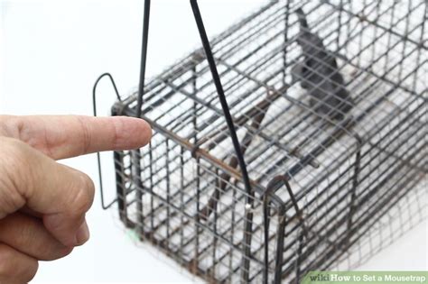How To Set A Mousetrap 12 Steps With Pictures WikiHow