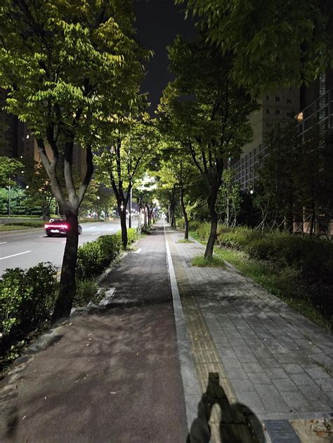 누군가 원하던 일이라는 나의 일상