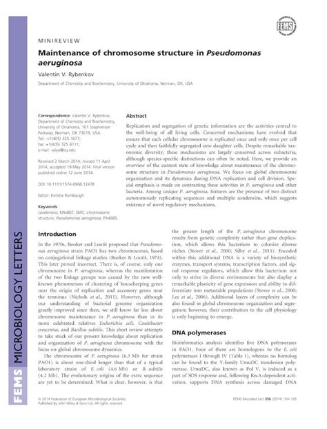 Pdf Maintenance Of Chromosome Structure In Pseudomonas Aeruginosa Dokumentips