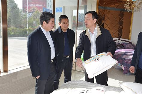 中石化安徽石油分公司柴志明总经理一行莅临天鹅集团考察新闻动态