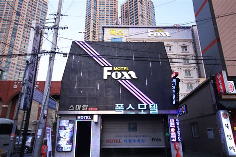 대구 두산동 폭스 사진 가격 위치소개 야놀자
